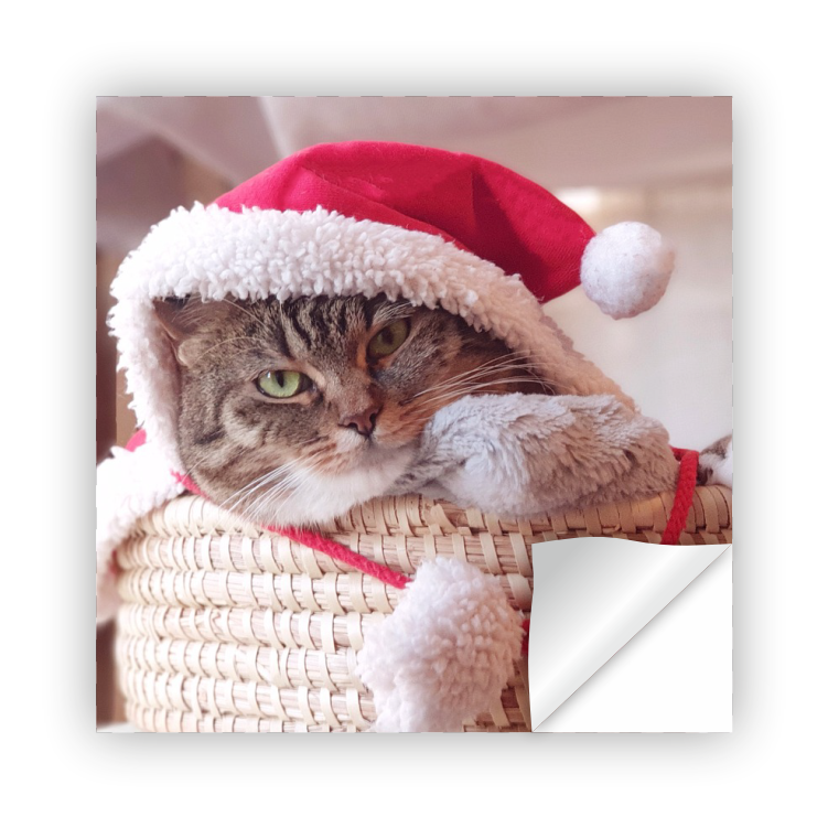 Kerst Kat - Sticker Spot - Dé Sticker Koning!